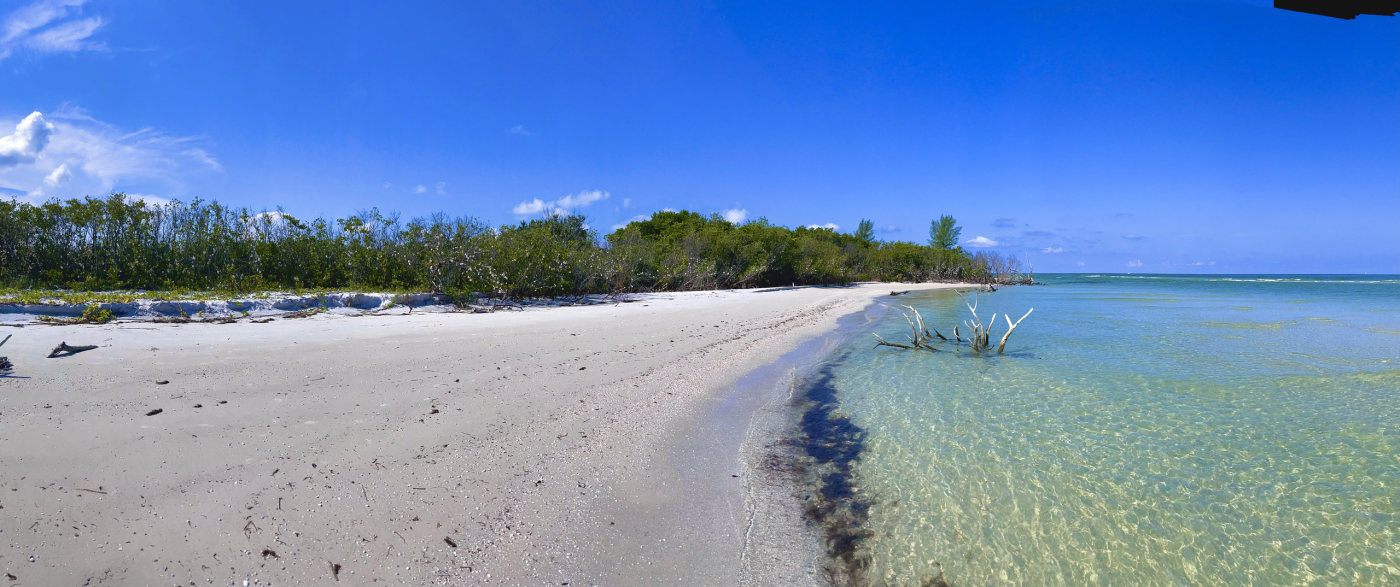 Shell Key Preserve Clear Kayak Tour | Paddles Outdoor Rentals